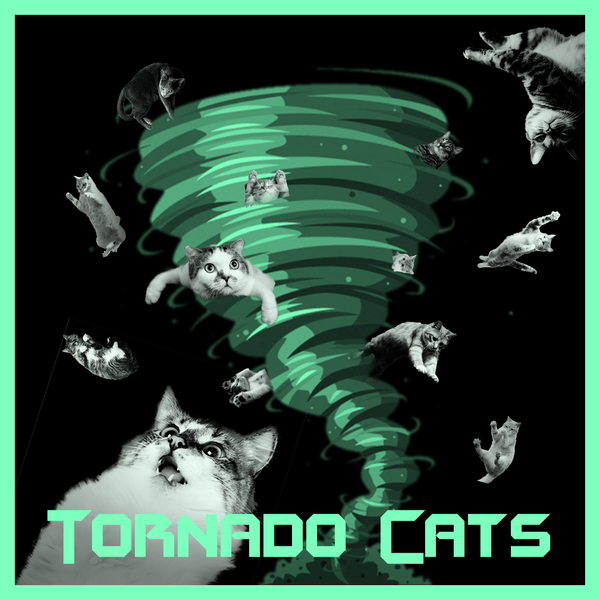 [SCAN 2024 결선 인터뷰] ⑬ Tornado Cats